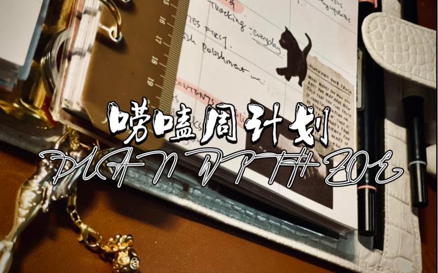 今日份手帐|一起来唠嗑做周计划吧|手帐排版|手帐素材|手帐内页|日程...