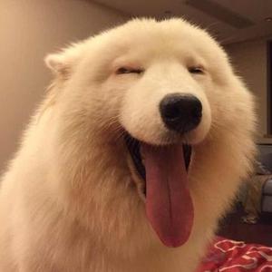 牧马剪辑小师 