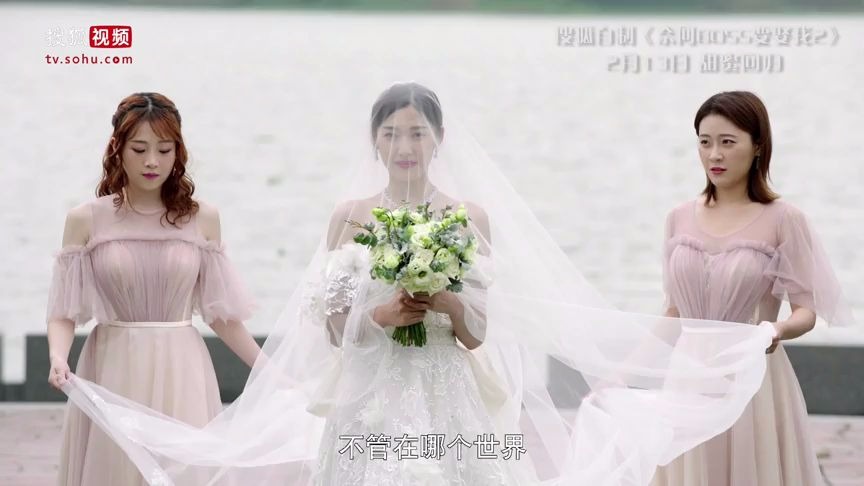 奈何boss要娶我2免费看简介