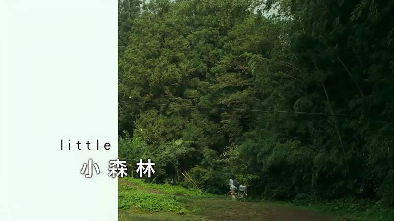 小森林唯美风景混剪