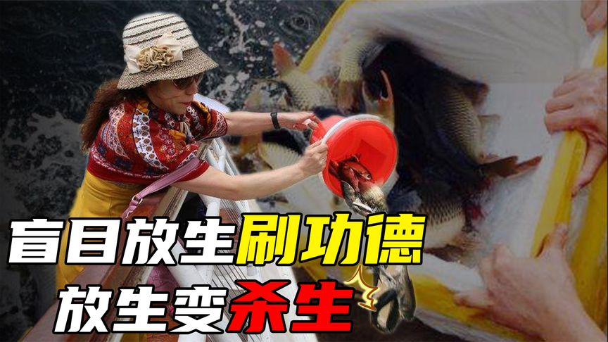 放生邪教到底有多离谱,往河水里倒牛奶,甚至引起外来生物入侵