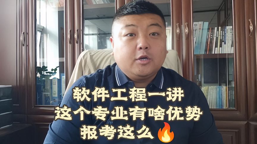 软件工程就业层次好不好
