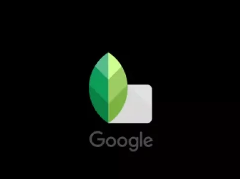 手机摄影后期技巧, Snapseed修补工具应用技巧, 斑点伤疤一招搞定