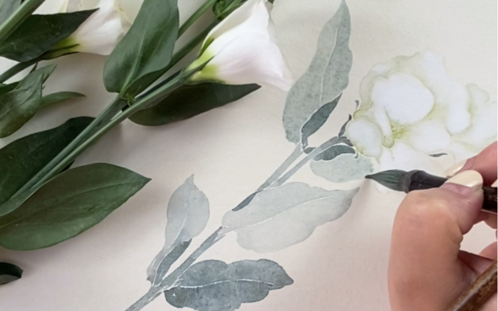 中国画—样桔梗花的没骨画法