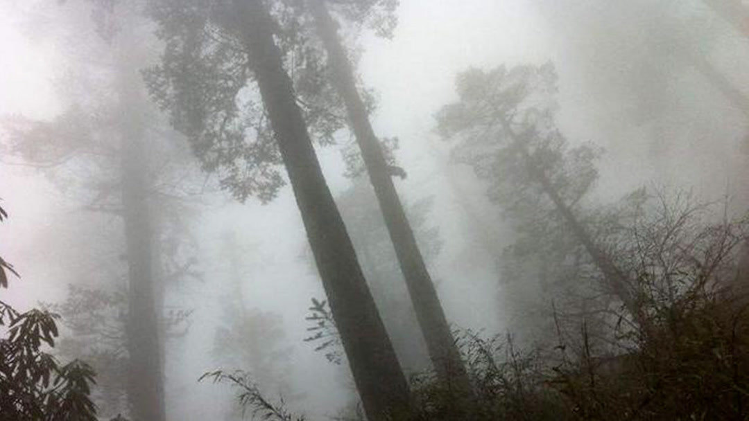 四川这一未解之谜,真实存在,科学家都无法解释其原因!