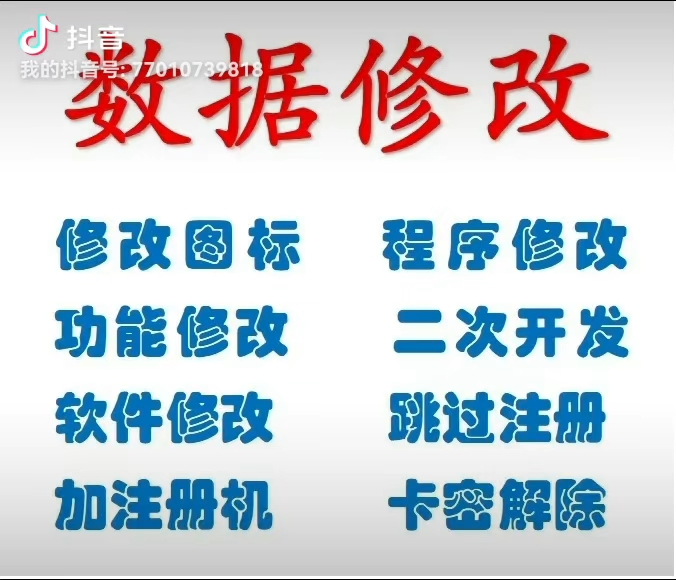 软件修改数据网页页面后台数据内容程序标题文字图标EXE注册机制作...