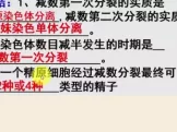 高一生物必修二减数分裂和受精作用(二)