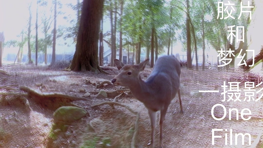 Lumafusion电影胶片和梦幻RGB