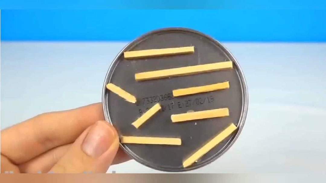 6个简单又有趣的小发明)