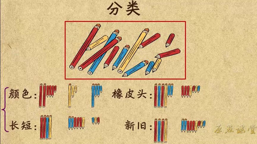 有趣的数学20200101001 小学数学一年级必备基础 分类知识