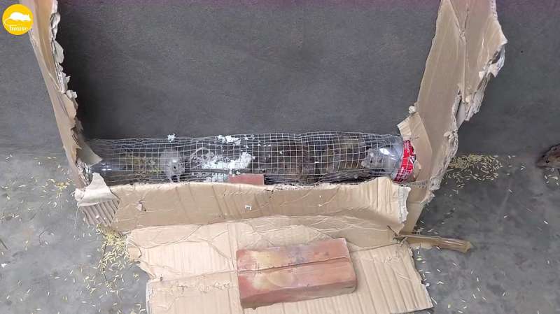 小伙真狠,自制“隧道笼”捕鼠器,5分钟抓到12只老鼠