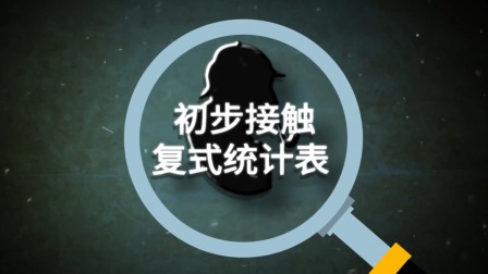 3 初步接触-复式统计表