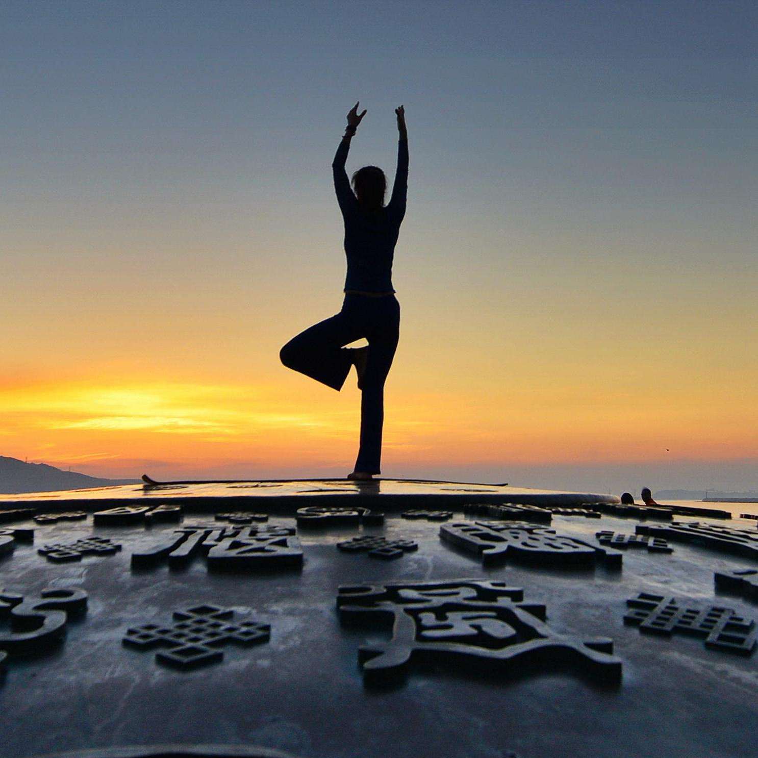 黑色幽默小燕子 