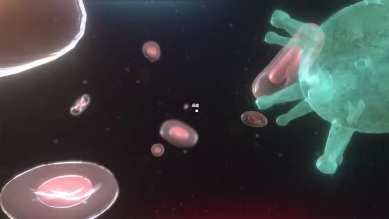 ...新冠病毒已于近期产生了149个突变点,并演化出了L亚型和S亚型。...