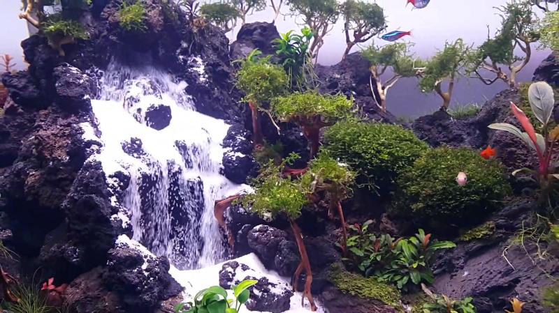 鱼缸造景,这个瀑布的设计太漂亮了,主人出手很大方