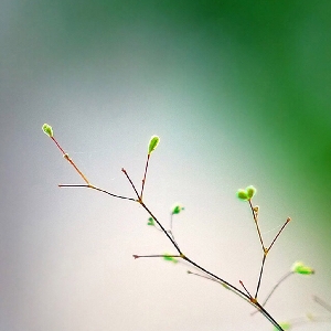 紧握手中平凡 