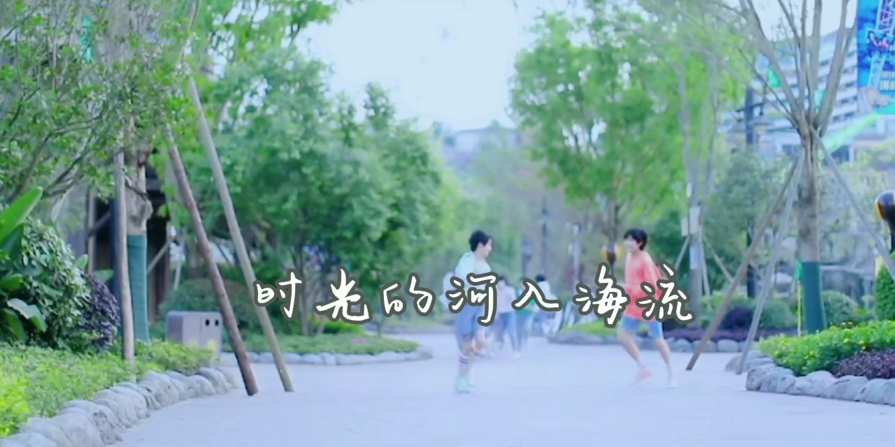 TF家族三代,凤凰花开的路 时间催促我们长大,告知我们要好好分别