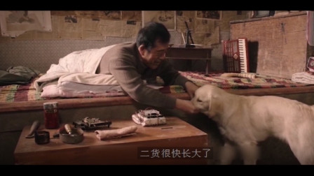 一条小狗意外认识了一位残疾老人