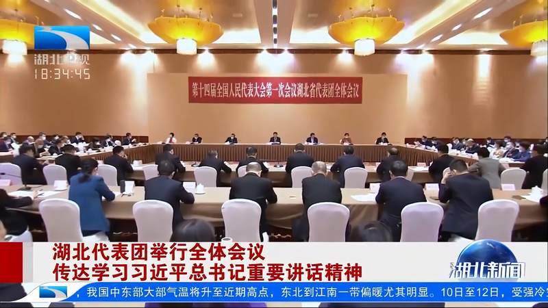 湖北代表团举行全体会议 传达学习习近平总书记重要讲话精神
