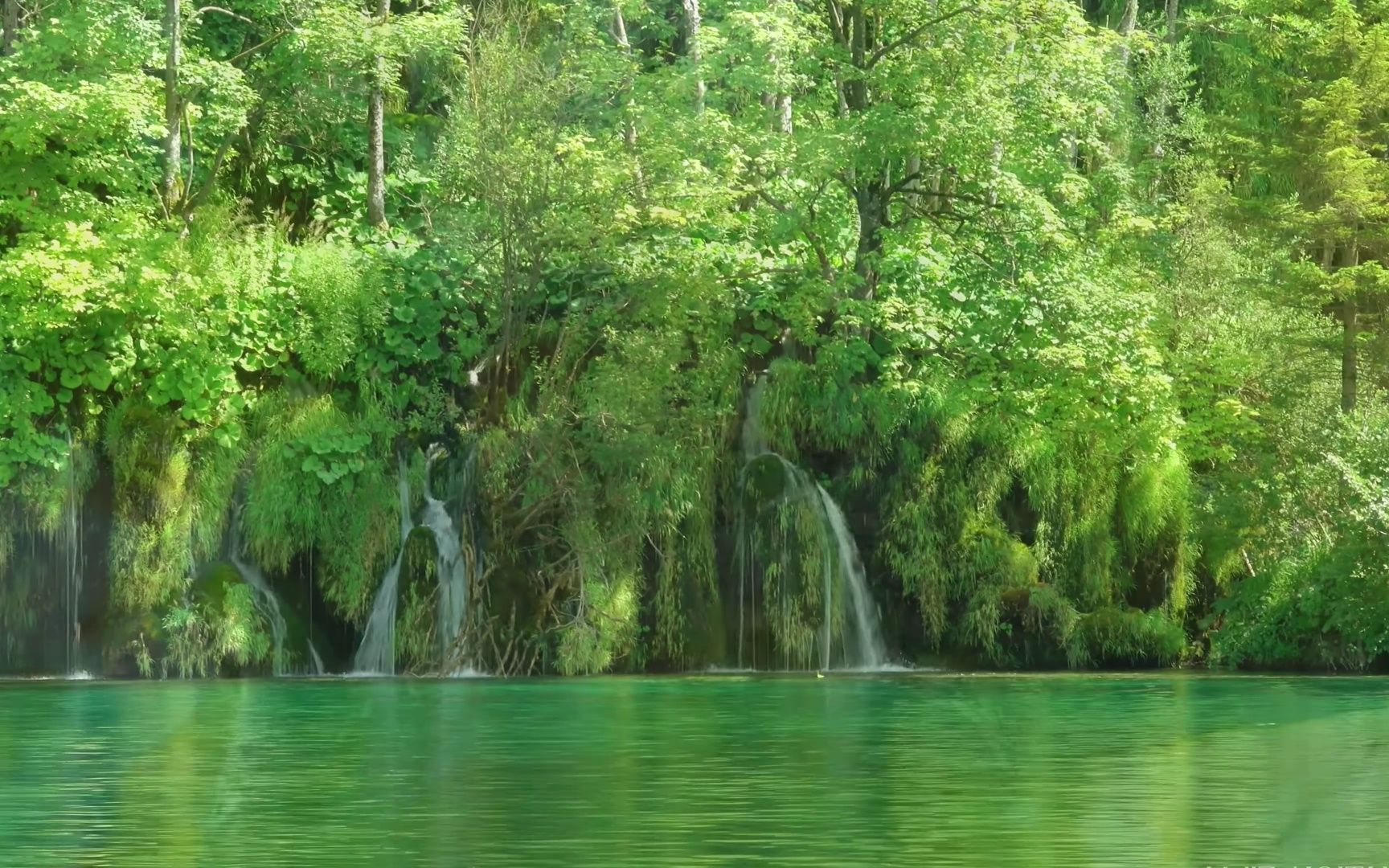 4k 60p 唯美治愈森林风景航拍 ,这就是世外桃源把,真的太美了