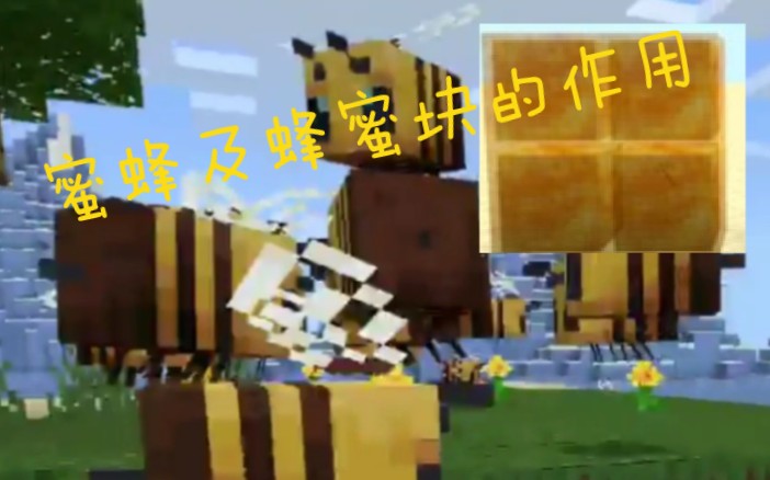 《我的世界》蜂蜜及蜂蜜块的作用