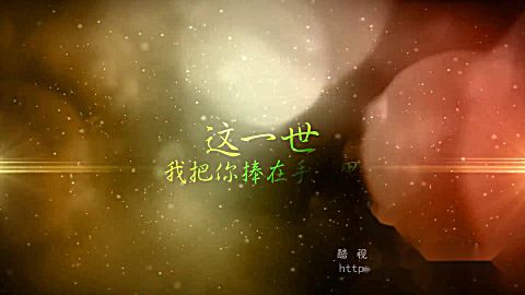 694温暖柔光中的梦幻婚礼婚庆开场字幕展示视频ae模板 ae片头 pr...