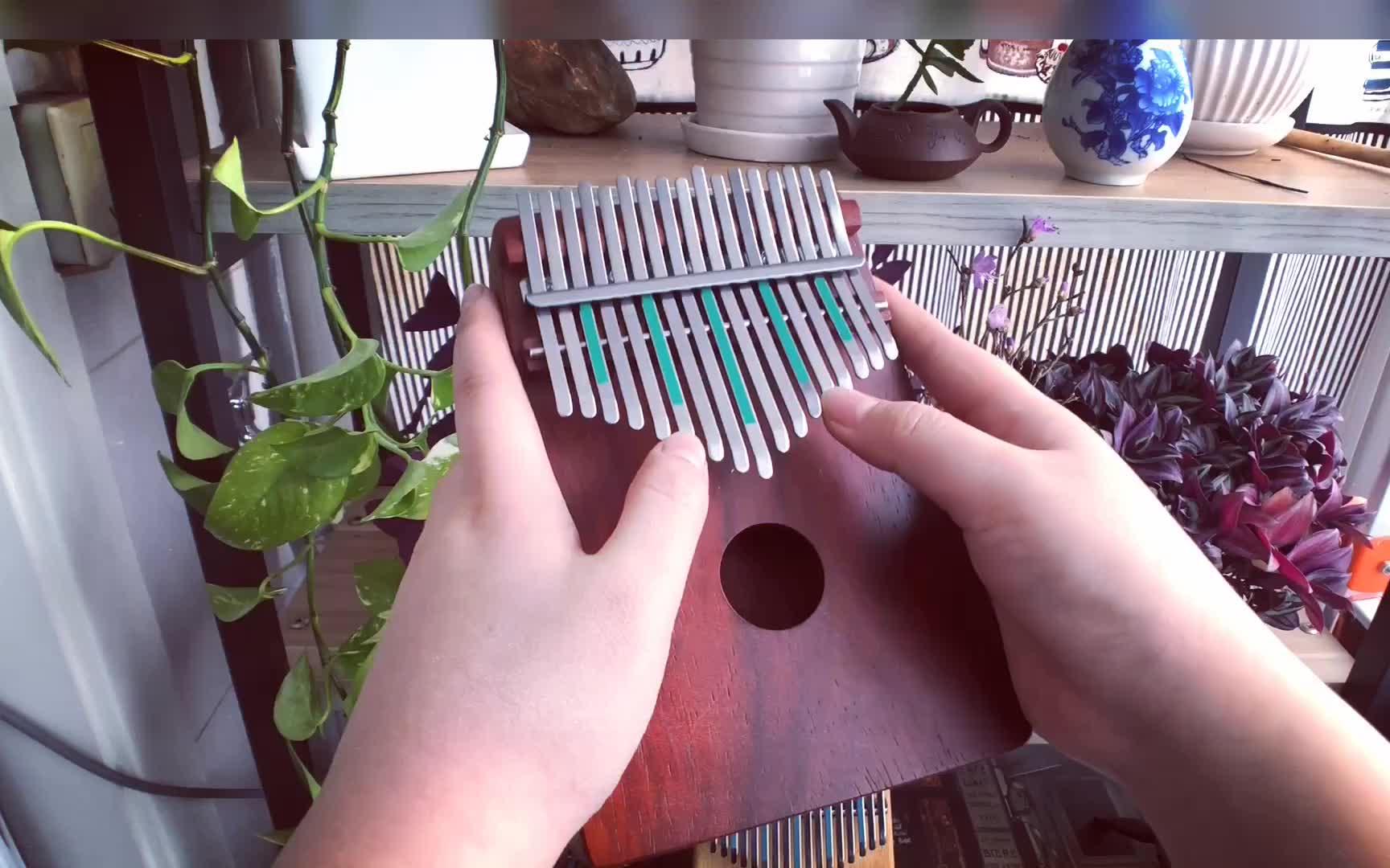 【卡林巴琴】 《森林狂想曲》