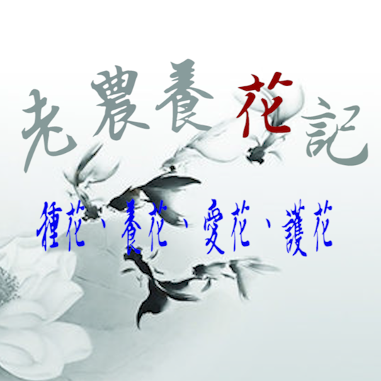 老农养花记 