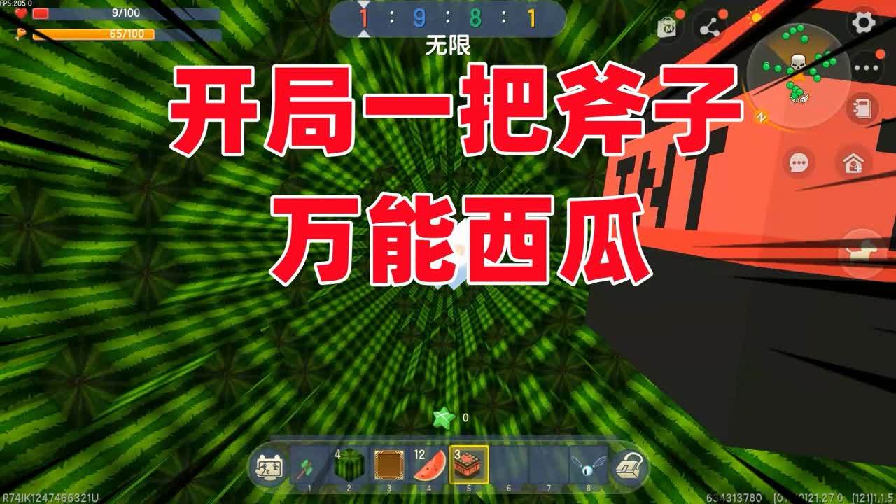 迷你世界 开局一把斧 万能西瓜 王不畏又遇见猪队友了 用炸弹炸我