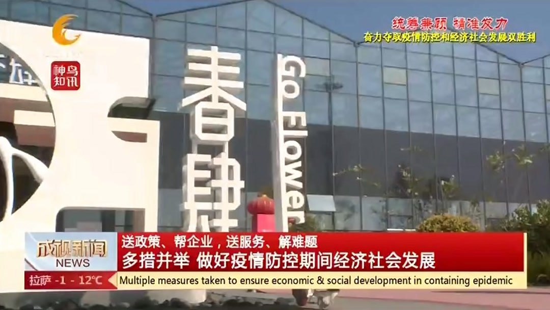 多措并举 做好疫情防控期间经济社会发展