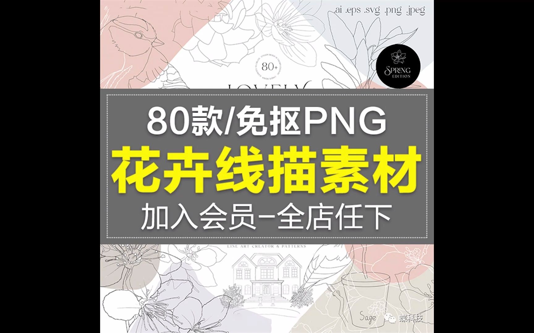 手绘优雅唯美花卉镂空线描剪贴画插画透明免抠PNG素材