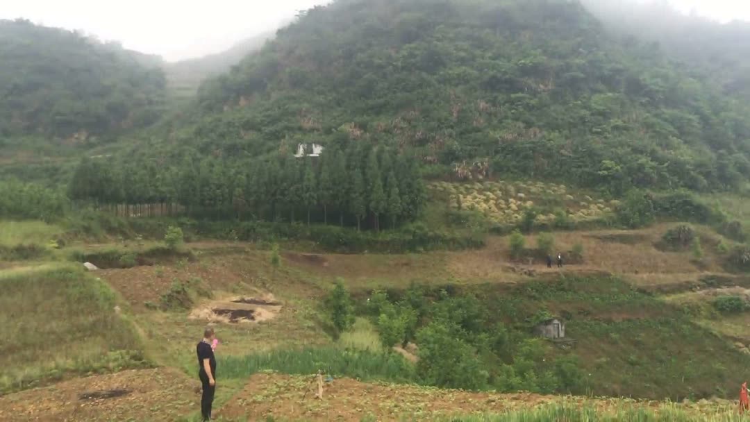 怎样看风水宝地王君植大师实地风水案例讲解先贵后凶张氏祖坟风水