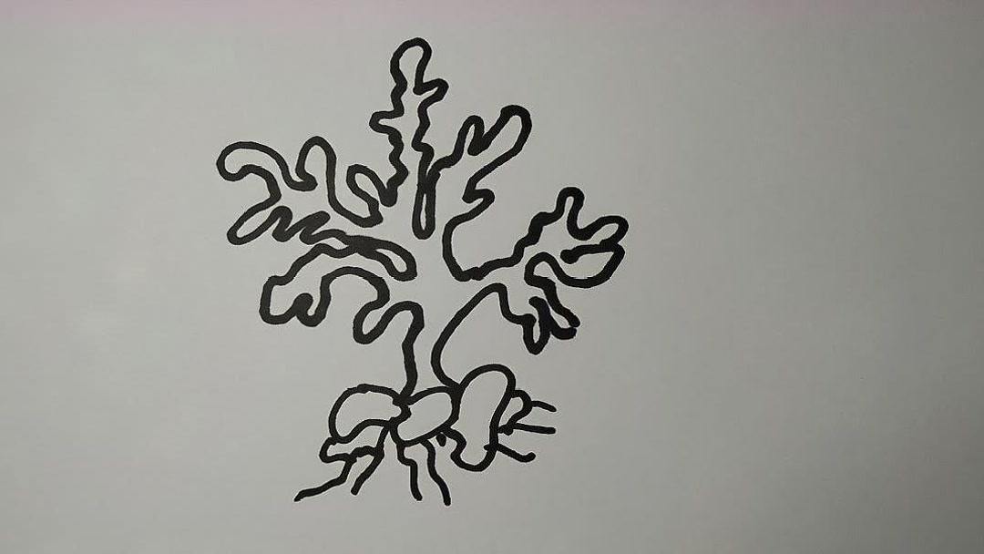 简笔画:做个可爱的小珊瑚,可以吗?