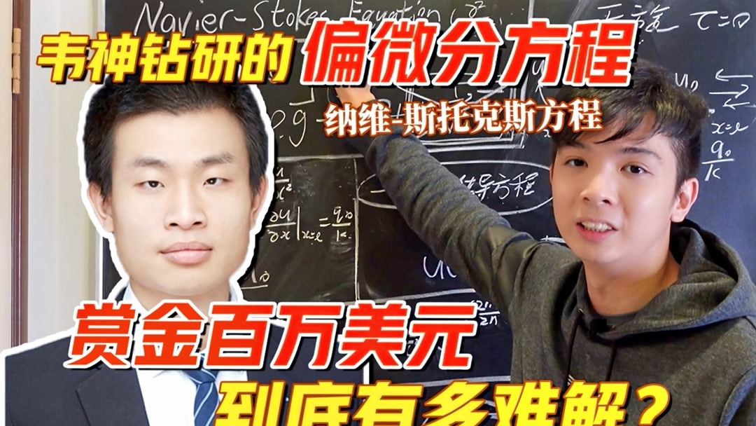 全世界最难挣的100w美金!清华生分享偏微分方程到底有多难解?