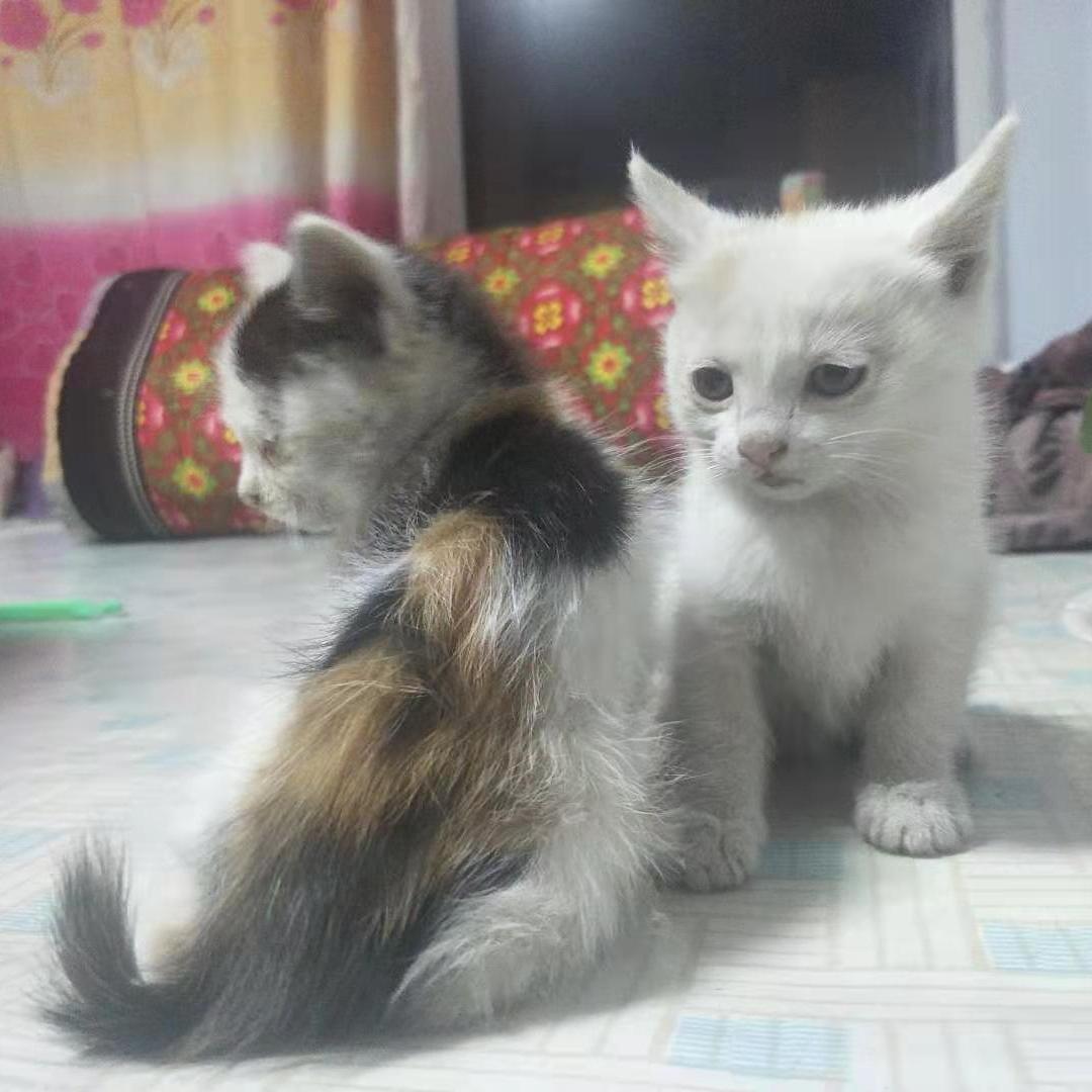 海哥说说 