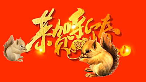 安徽省不锈钢商会2019年年会 暨迎新联欢会(企业宣传片)