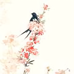 小杜老师带你学 