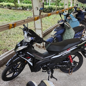 PPFF507 