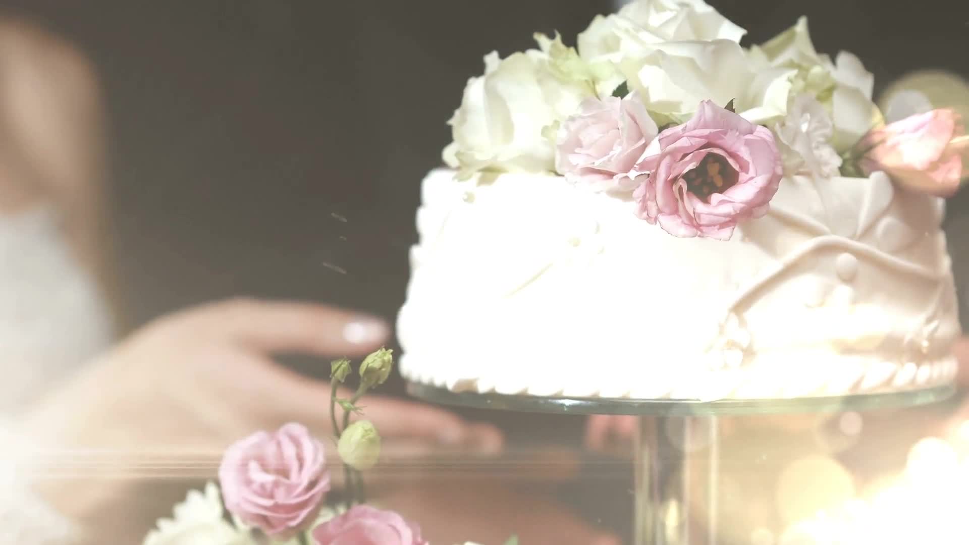 AE模板 永恒浪漫的婚礼瞬间爱奶酪