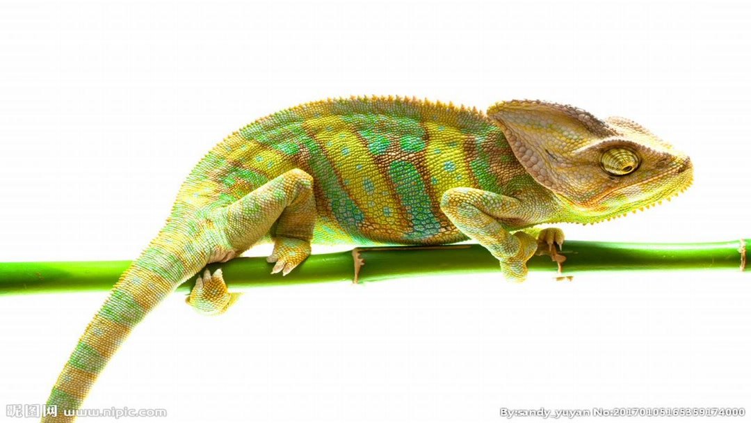 高考生物 高中生物三轮复习 生态系统结构与生态农业
