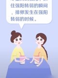 很多人问我排卵试纸到底怎么用?分享#科学备孕