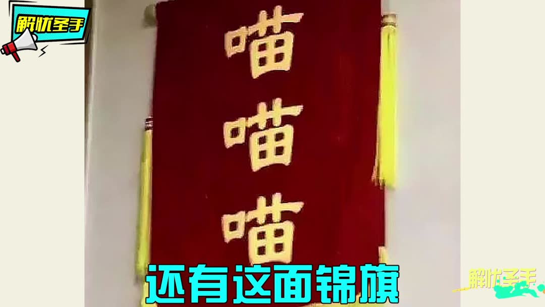 宠物医院里见过的那些奇葩锦旗,你真的不是来搞笑的?