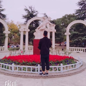 火星上的仙人球 