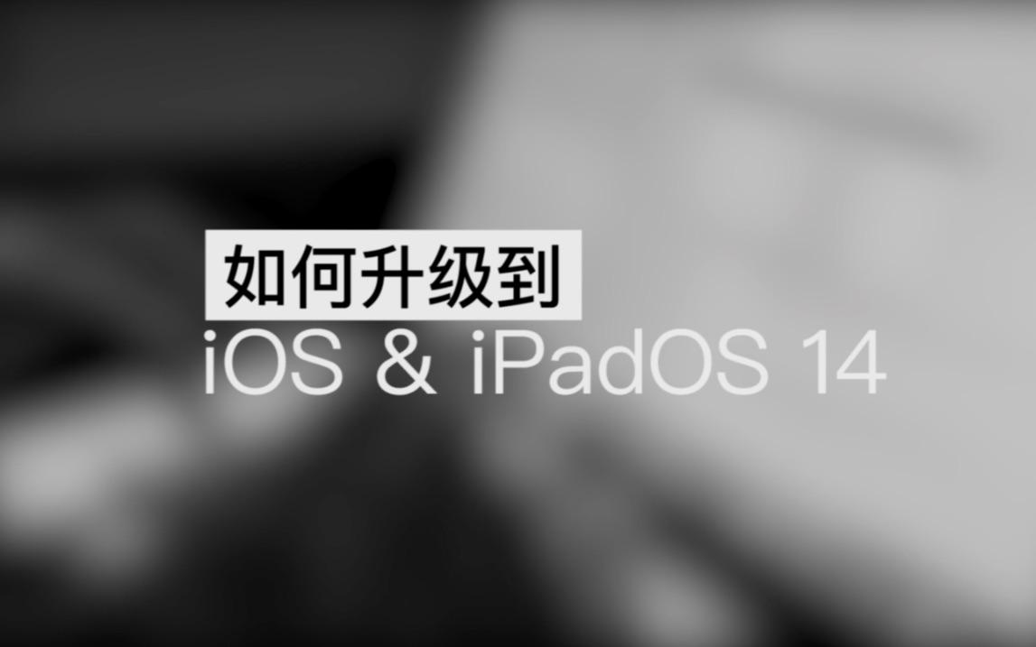 如何升级到iOS & iPadOS 14 beta和Techr的归来