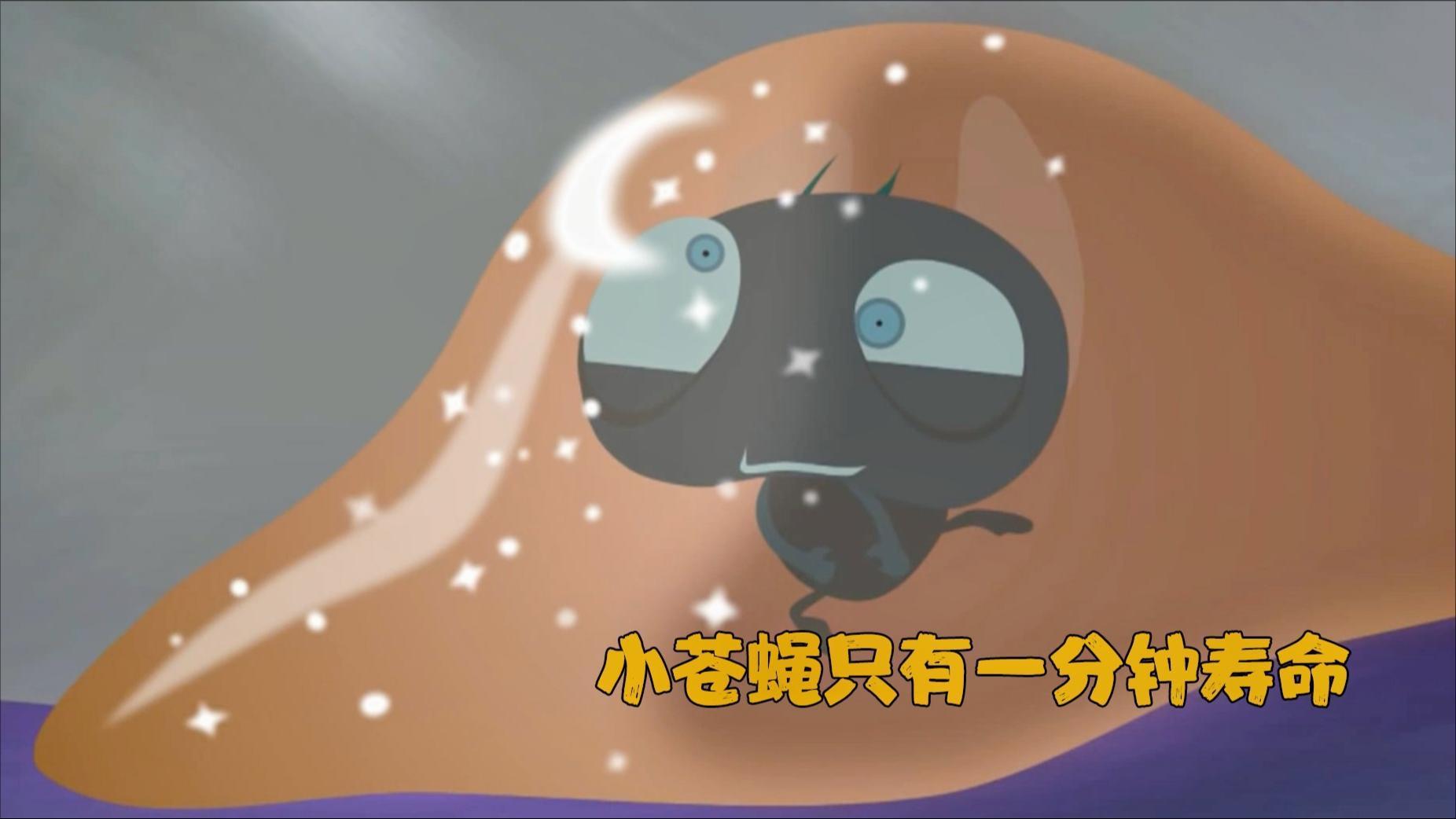 动画片:小苍蝇寿命只有一分钟,于是他两秒定终身,一秒繁殖后代