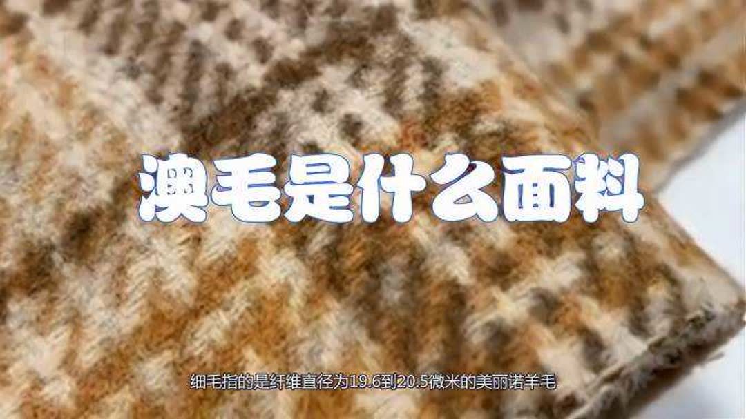 澳毛是什么面料的?
