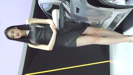 2020广州斯柯达车展美女车模