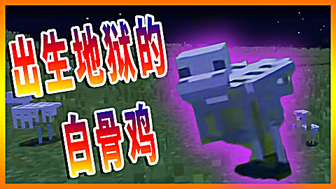 我的世界国家建设78:鸡只有一身白骨,全身上下透明!