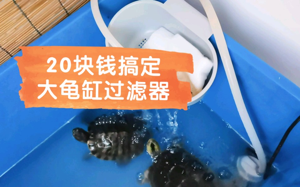 20块钱搞定大型龟缸过滤器