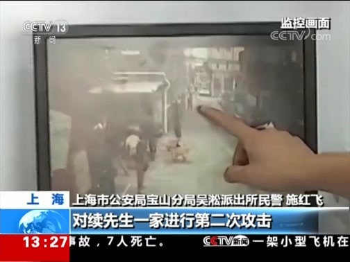 [新闻直播间]上海 先咬狗再伤人 两肇事狗及主人受罚
